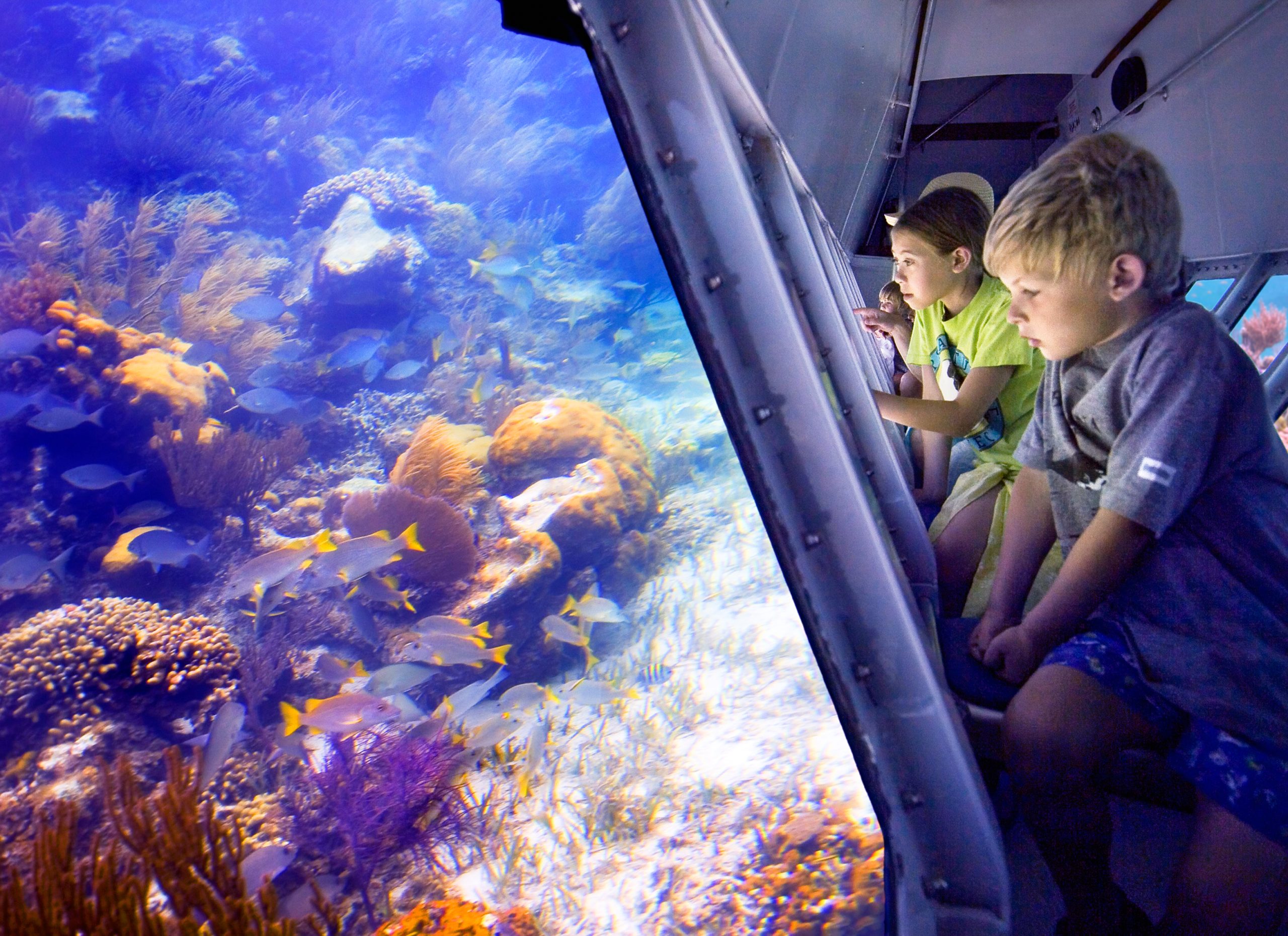 Caicos Tours' Undersea Explorer - Turks and Caicos Islands Watersports Association